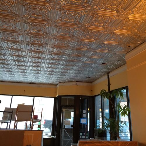 From Plain To Beautiful In Hours DCT04 Elizabethan Shield PVC 2' x 2' Lay-in or Glue-up Ceiling Tile (Covers / 40 sq.ft), Antique White, 10 Piece