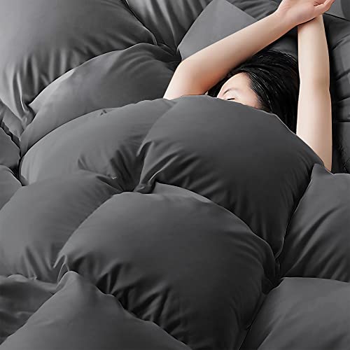 BEDHOURS Queen Comforter Set-3 Pieces Cooling Down Alternative Queen Size-All Season Reversible Comforter with 2 Pillow Sham (Dark Grey Queen)