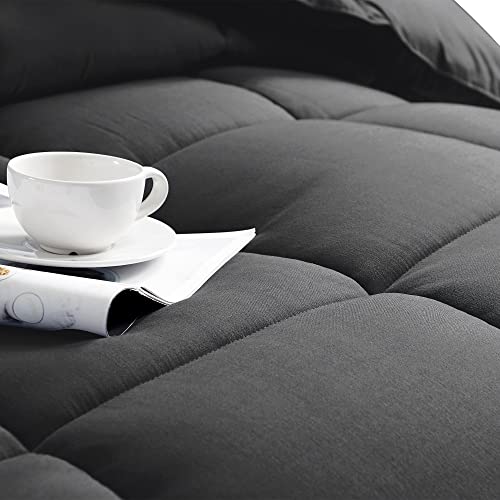 BEDHOURS Queen Comforter Set-3 Pieces Cooling Down Alternative Queen Size-All Season Reversible Comforter with 2 Pillow Sham (Dark Grey Queen)
