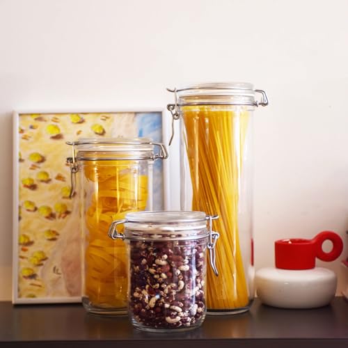 Bormioli Rocco Fido Cylinder Collection - Fido Jar - .62 Liter (21 ounce) - Clear