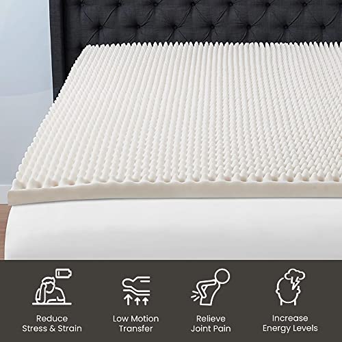 Treaton 2-inch Soft Foam Toppers with Convoluted Egg Shell Design | Extends Mattress Topper Life, Provides Proper Back Support and Relieves Pain, Improves Better Posture, Twin, Off-White