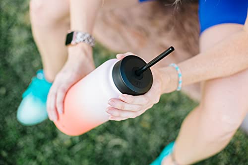 Simple Modern Wide Mouth Lid Leak Proof Straw Chug Handle Flip Fits Summit Water Bottles and Hydro Flask, Tumbler Style, Blush