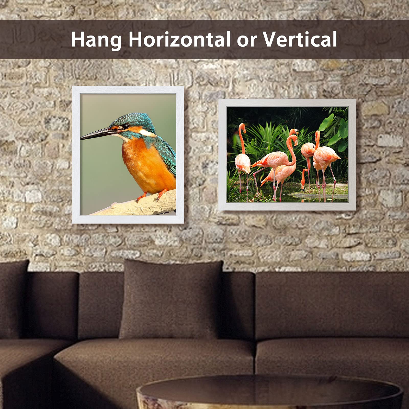 VCK 16x20 Poster Frame in White with Polished Plexiglass Set of 5 Horizontal and Vertical Formats with Included Hanging Hardware