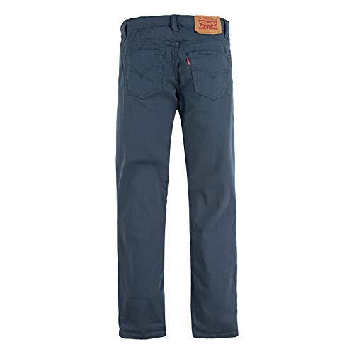 Levi's Boy's 502 Regular Taper Fit Chino Pants, Dark Slate, 10
