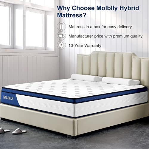 Molblly King Mattress, 12 Inch Innerspring Mattress in a Box,Ultimate Motion Isolation Individually Wrapped Pocket Coils Mattress,Pressure Relief, Cool King Bed Mattress