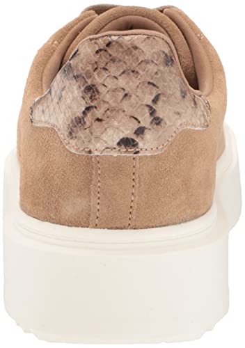 Steve Madden womens Charlie Sneaker, Taupe Suede, 11 US