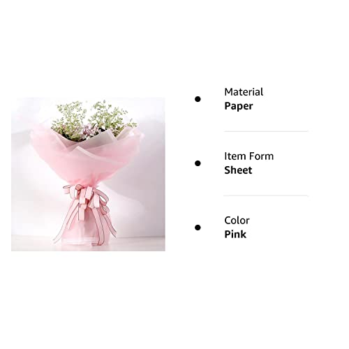 BBC Translucent Waterproof Flower Wrapping Paper, 20 Counts, 23.6x23.6 Inch (Pink)