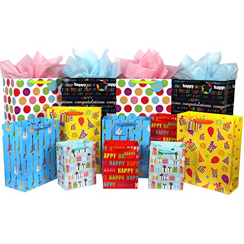 12 Pcs Birthday Gift Bags, Large, Medium and Small Gift Bags Assortment for Boys, Girls, Women, Men (Assorted Sizes)