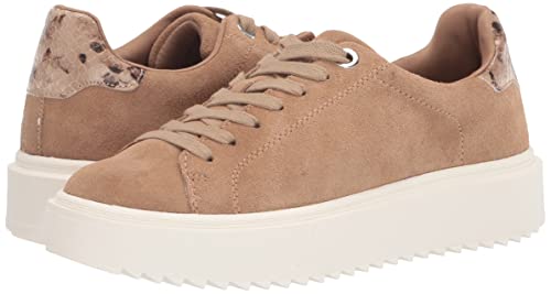 Steve Madden womens Charlie Sneaker, Taupe Suede, 11 US