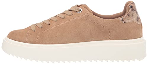 Steve Madden womens Charlie Sneaker, Taupe Suede, 11 US