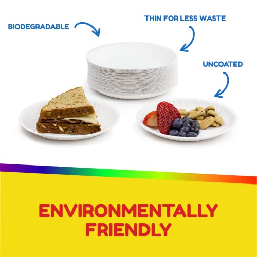 Hygloss Products Paper Plates - Uncoated White Plate - Use for Foodware, Events, Activities, Crafts Projects and More - Environmentally Friendly - Recyclable and Disposable - 6-Inches - 100 Pack