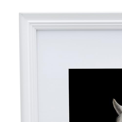 Studio Nova Picture Frame Displays 11 x 14 Photos 16 x 20 Without Mat, 16x20-Matted 11x14, White (5278448)