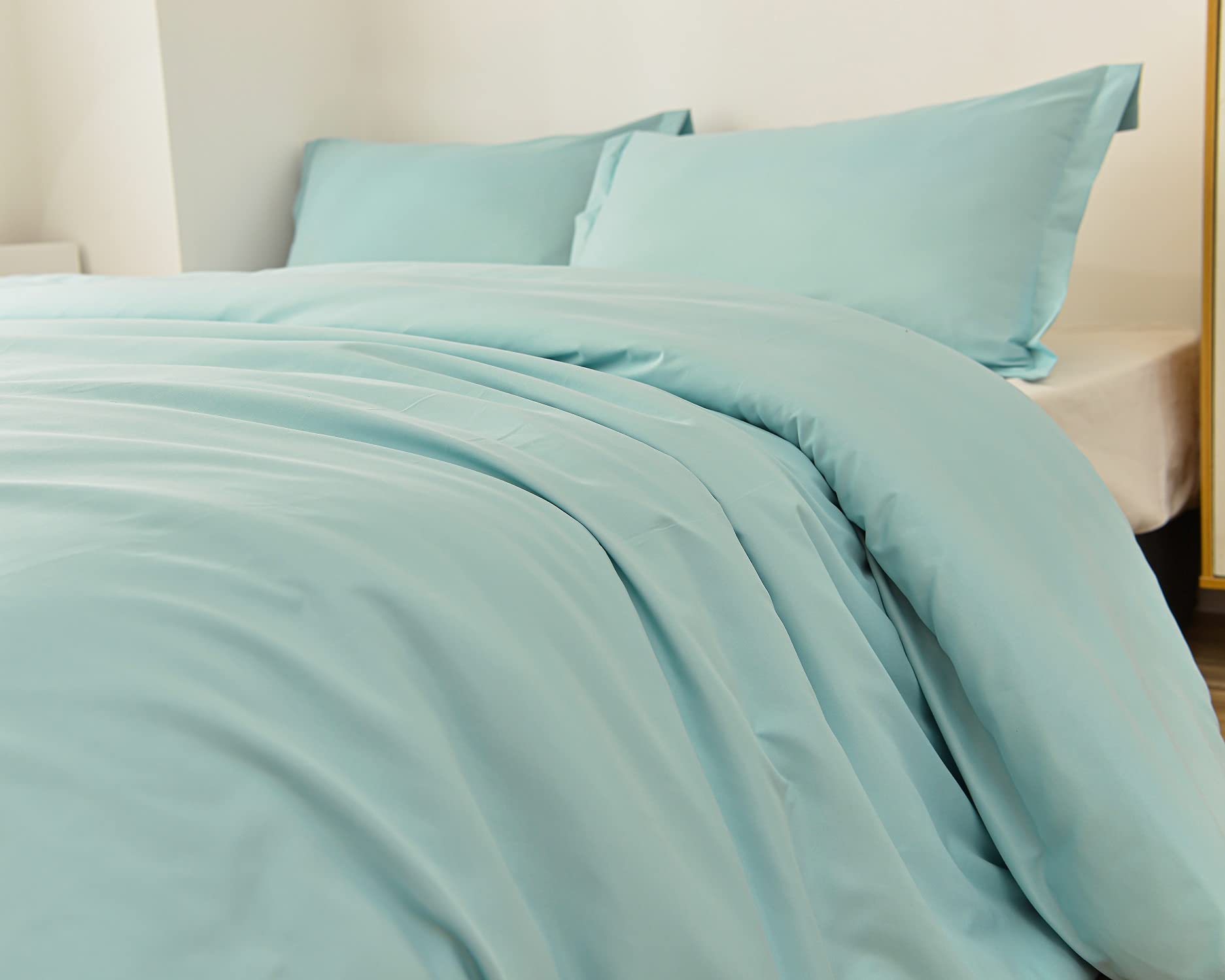 Colourful Snail Duvet Cover 2 Piece Set, Ultra Soft Double Brushed Microfiber Comforter Cover with Zipper Closure and Corner Ties, Twin, Light Blue (Comforter Not Included)