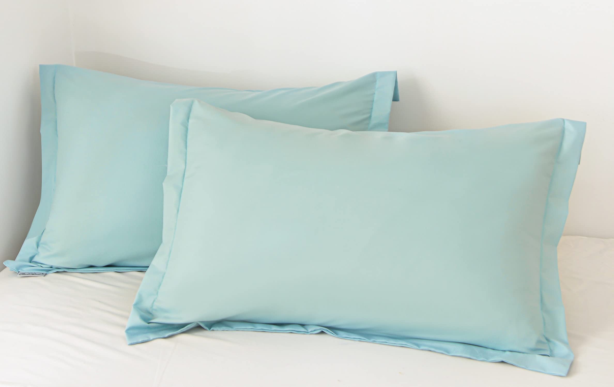 Colourful Snail Duvet Cover 2 Piece Set, Ultra Soft Double Brushed Microfiber Comforter Cover with Zipper Closure and Corner Ties, Twin, Light Blue (Comforter Not Included)