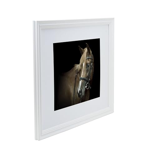 Studio Nova Picture Frame Displays 11 x 14 Photos 16 x 20 Without Mat, 16x20-Matted 11x14, White (5278448)