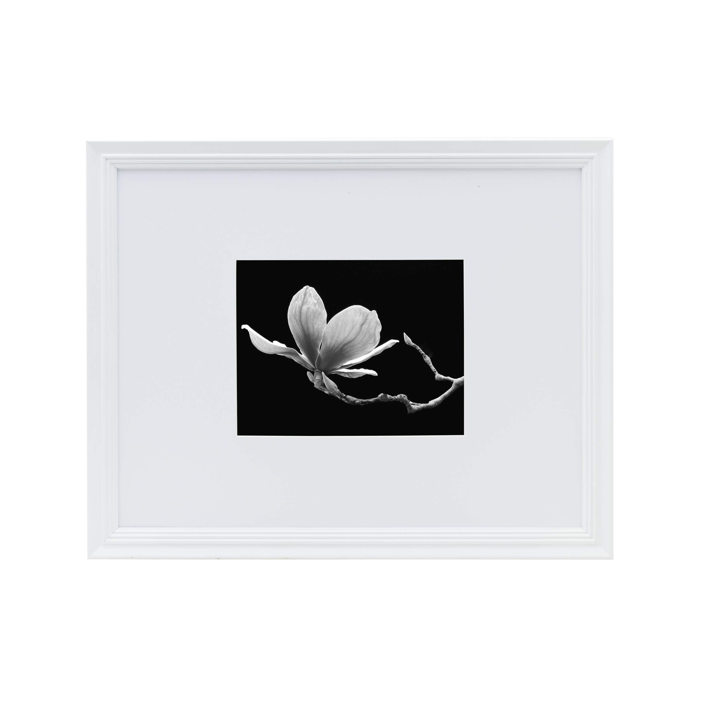 Studio Nova Picture Frame Displays 8 x 10 Photos 16 x 20 Without Mat, White