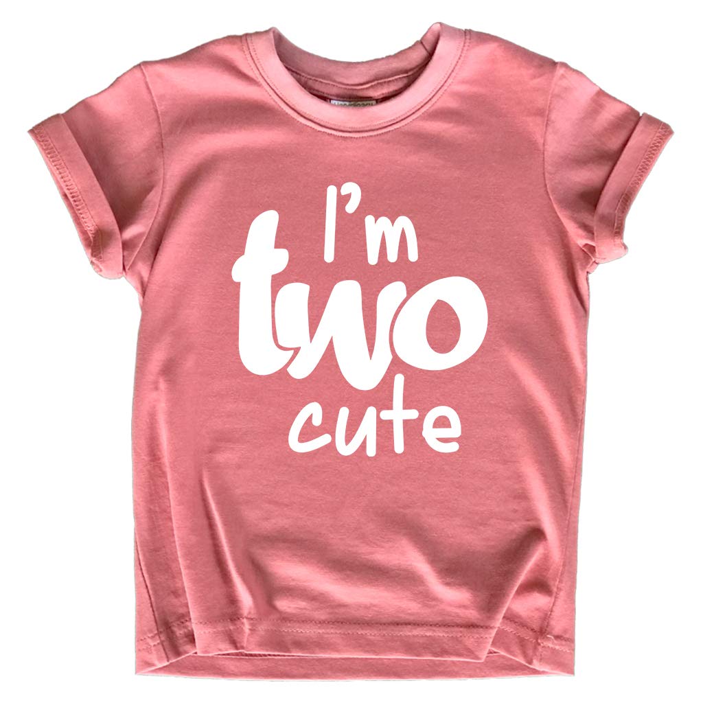 2nd Birthday Outfits for Toddler Girls im Two Cute Shirt Girl 2 Years Old Second Birthday (Mauve, 3 Years)
