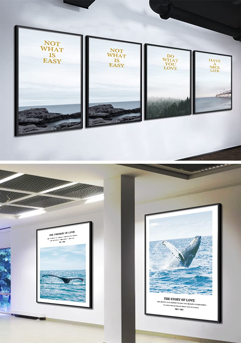 Aynoo 16x20 Poster Frame Black, Display Picturess 16x20 Metal Picture Frame,Aluminium Industries Studio Gallery Frame