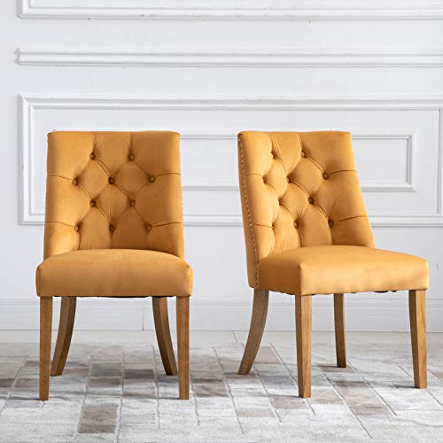 Dolonm Modern Dining Chairs Set of 2 Upholstered Button Tufted Dining Chair with Nailhead Trim Accent Wingback Velvet Wooden Chair for Dining Room Kitchen Bedroom (Orange)