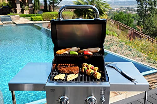 Permasteel 2-Burner Propane Gas Grill, BBQ Grill with Foldable Side Tables & Tool Hooks, Perfect for Outdoor Cooking, Patio & Garden, Black