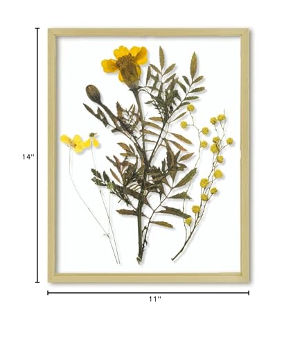 Frametory, Floating Picture Frame 11x14 - Gold Aluminum Metal Photo Frame - Real Glass of Front - for Wall Mount Displays
