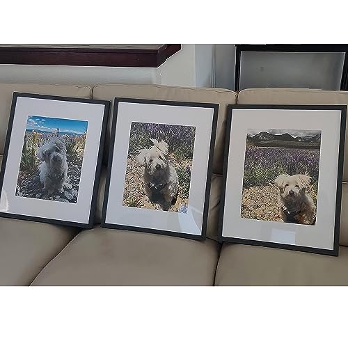 Sindcom 16x20 Poster Frame 3 Pack, Picture Frames with Detachable Mat for 11x14 Prints, Horizontal and Vertical Hanging Hooks for Wall Mounting, Charcoal Gray Photo Frame for Gallery Home Décor