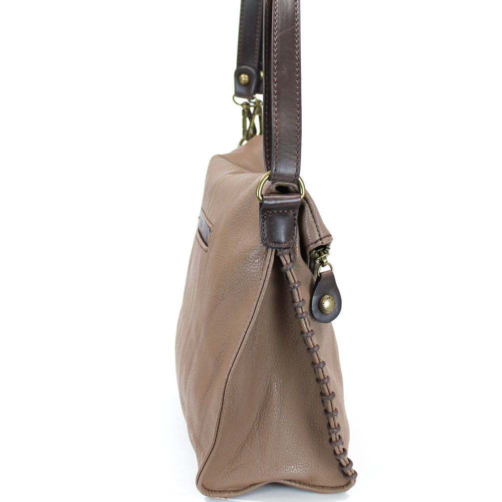 Chala Charming Crossbody Bag Shoulder Handbag With Flap Top and Zipper Brown (Coin Purse_ Dinosaur Triceratops)