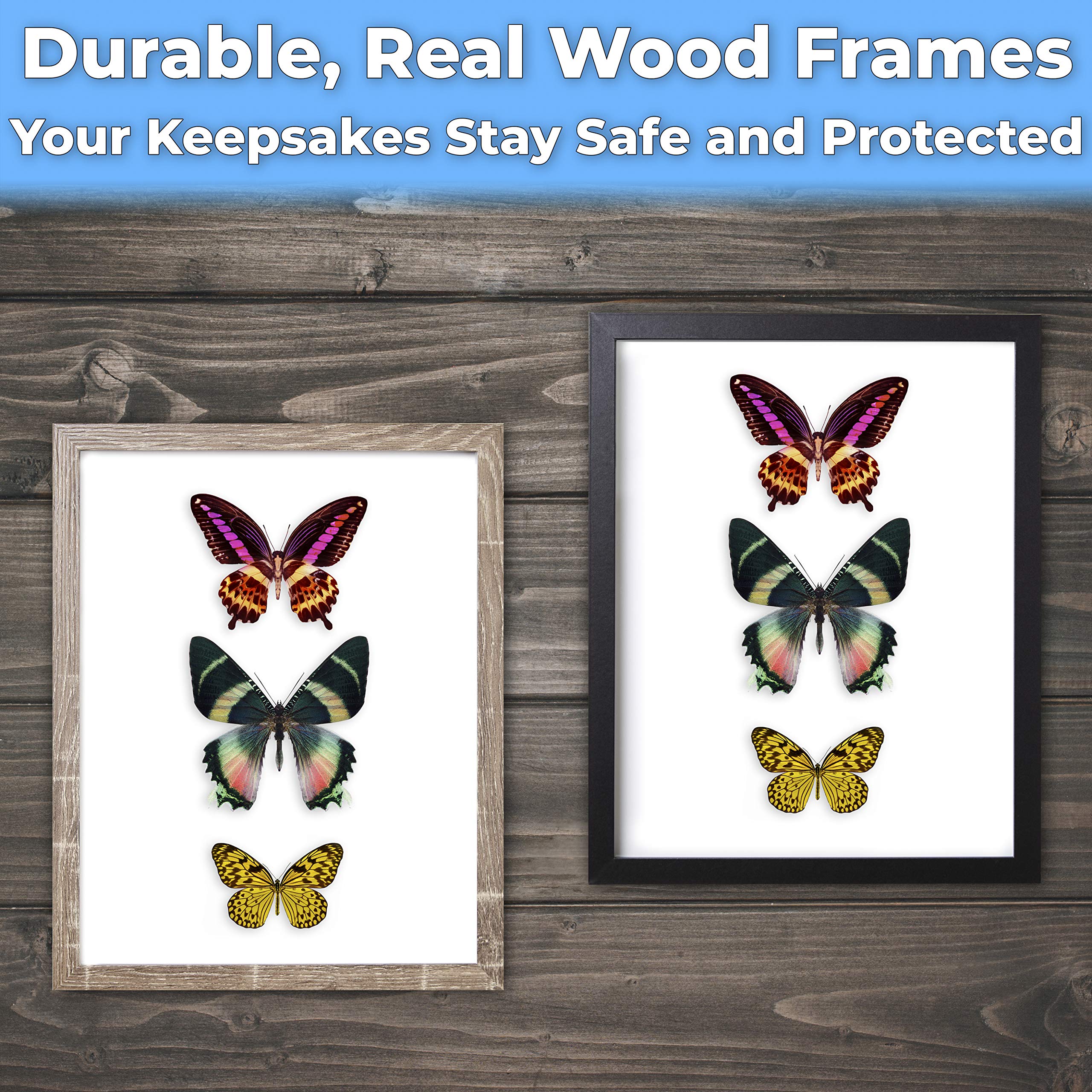 Super-Sturdy 11x14 Gray Shadow Box Frame With Glass 1pk . Large Rustic Wood Memory Box For Wedding Flowers, Jerseys, Pet Photos, Ticket Stubs or Medals