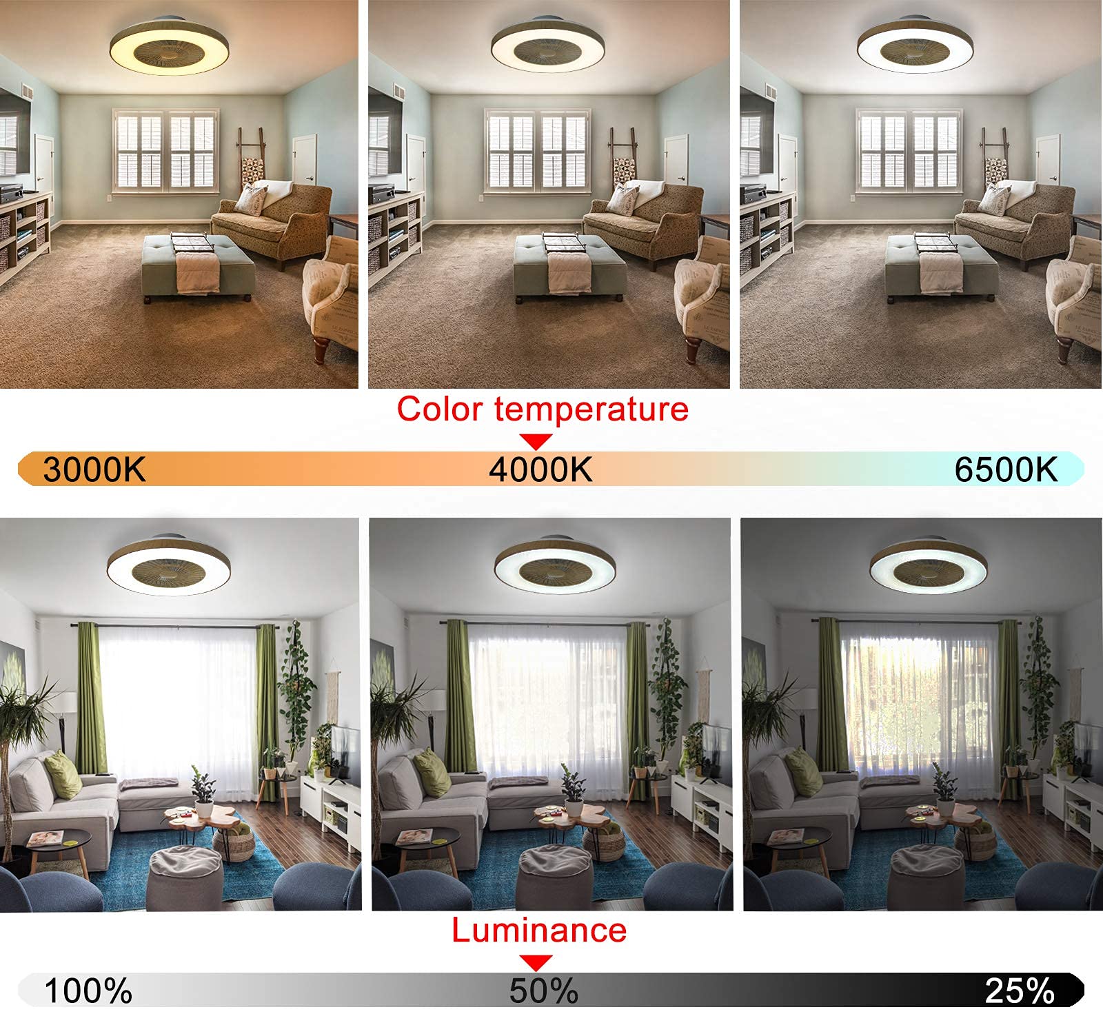 Anresun 23" LED Ceiling Fan with Lights, for Indoor Kitchen Bathroom Bedroom, Dimmable with Remote Control, 3 Files, Adjustable Wind Speed, Modern Ceiling Fan