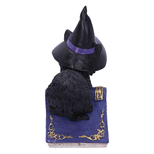 Nemesis Now Pocus Witch's Familiar Black Cat Figurine with Spellbook – Hand-Painted Resin Decoration for Witchcraft and Magic Lovers