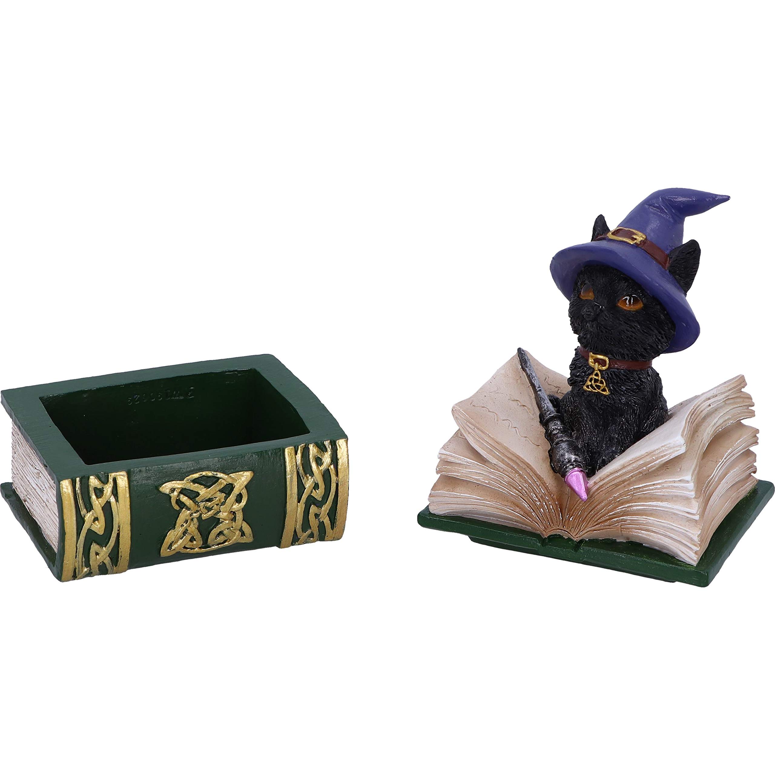 Nemesis Now Binx Small Witches Familiar Black Cat and Spellbook Figurine Box, Green, 11cm