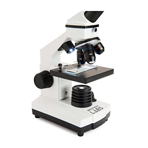 Celestron – Celestron Labs – Monocular Head Compound Microscope – 40-400x Magnification – Adjustable Mechanical Stage – Includes 10 Prepared Slides