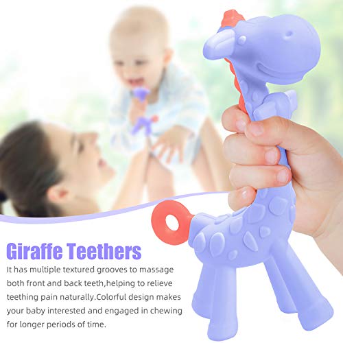SHARE&CARE Baby Teething Toys for Girls and Natural Organic Fruit Feeder Pacifier/Baby Teether Chew Toys Fresh Food Feeder/ 1 Teethers and 1 Feeder with 3 Silicone Sacs(Purple)