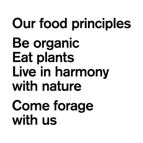 Forager Project Organic Cashewmilk Yogurt, Unsweetened Vanilla Bean, 24-Ounce