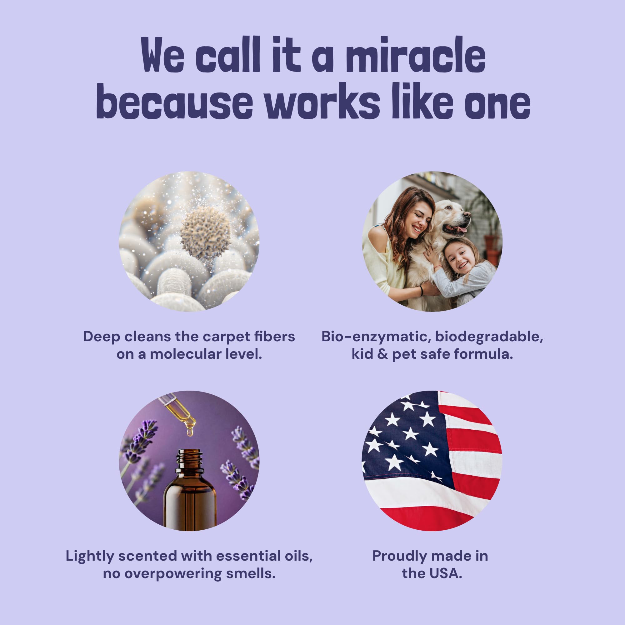 Sunny & Honey Carpet Miracle - Carpet Cleaner (32 Fl Oz (Pack of 1), Light Lavender Scent)