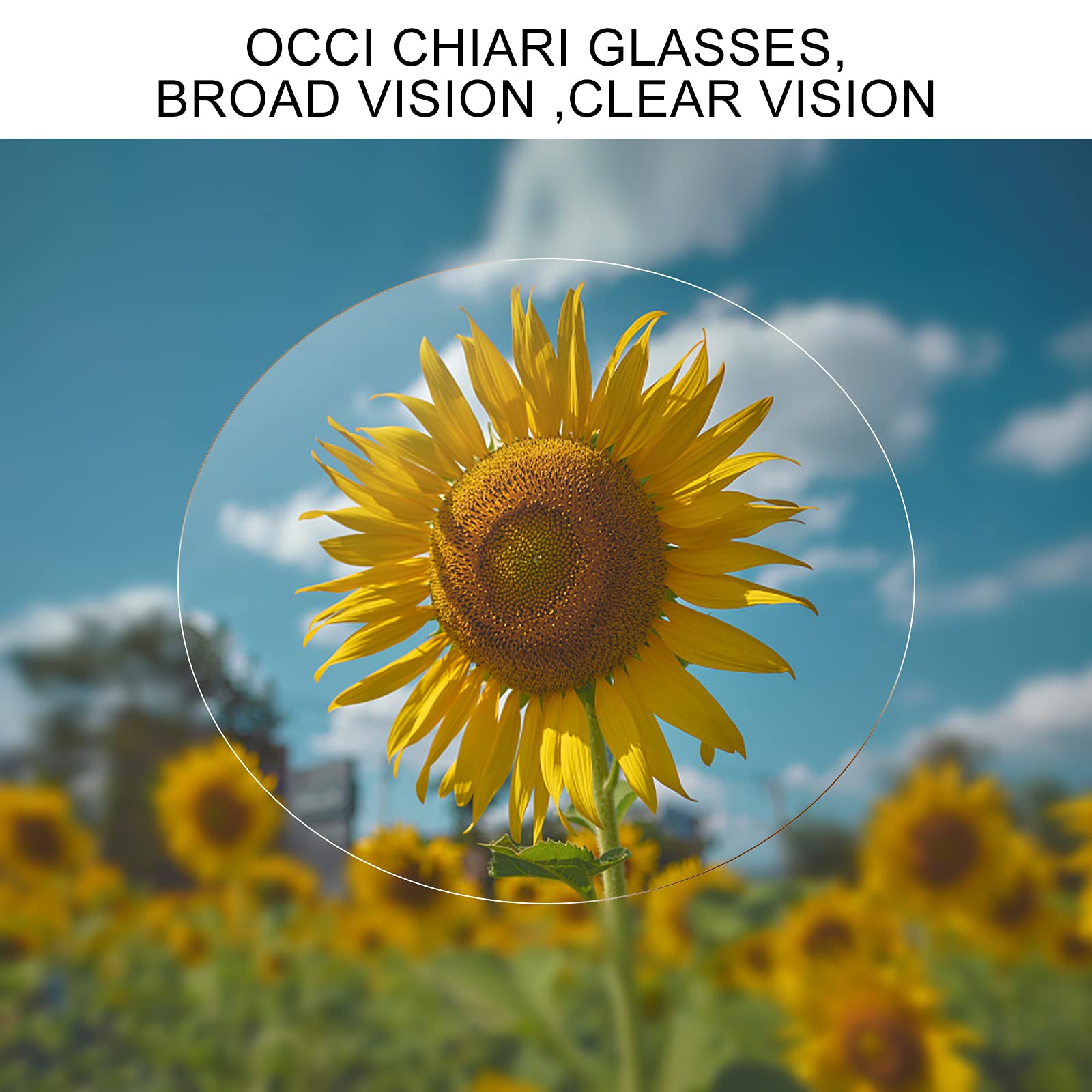 OCCI CHIARI 1.5 Reading Glasses Women Oversized Durable Reader 150(1.0 1.25 1.5 1.75 2.0 2.25 2.5 2.75 3.0 3.5 4.0) Large Frame