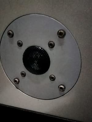 Fielect 20.4mm Tweeter Voice Coil Audio Speaker High Tone Silk Dome Tweeter Accessory for Audio Replacement 2Pcs