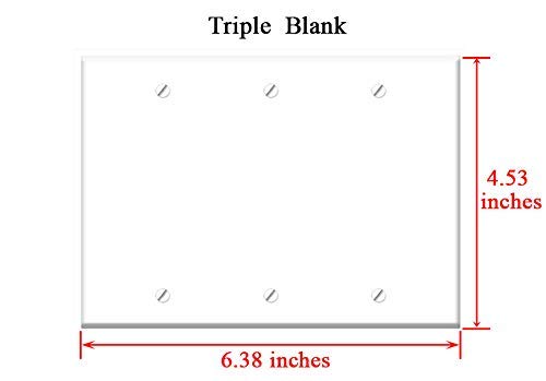Triple Blank Wall Plate Cover - Turtle Criss-Crossed Africa Senegal Tortie Carapace