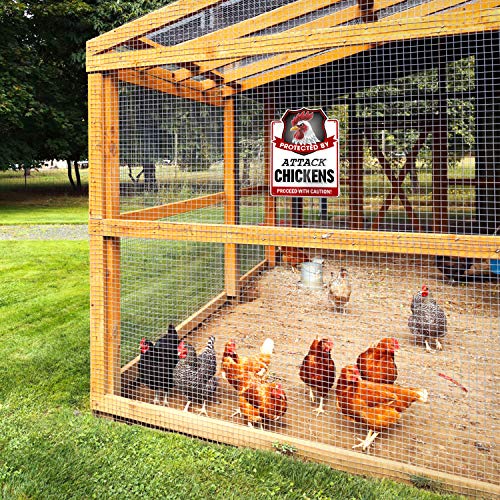 Bigtime Signs Protected by Attack Chickens PVC 9" x 12"| Chicken Fan Lovers Chicken Signs for coop Funny Outdoor | Chicken Coop Signs - Chicken Coop Accessories | Chicken Yard Decorations
