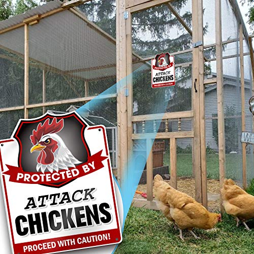 Bigtime Signs Protected by Attack Chickens PVC 9" x 12"| Chicken Fan Lovers Chicken Signs for coop Funny Outdoor | Chicken Coop Signs - Chicken Coop Accessories | Chicken Yard Decorations