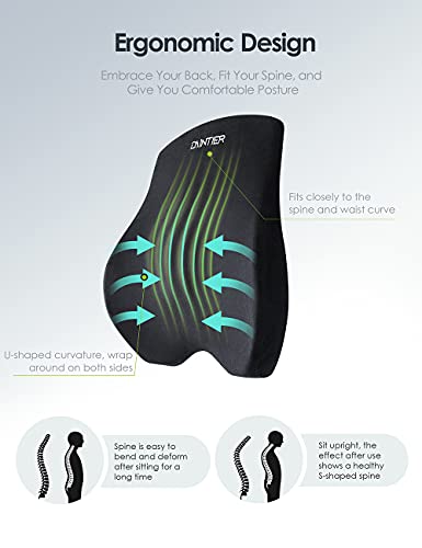 DAINTIER Back Cushion,Lumbar Support Cushion Pillow,100% Memory Foam Car Cushion, Office Chair Cushion for Back Pain Relief, Ideal Back Support for Car Seat, Gaming Chair,Wheelchair…