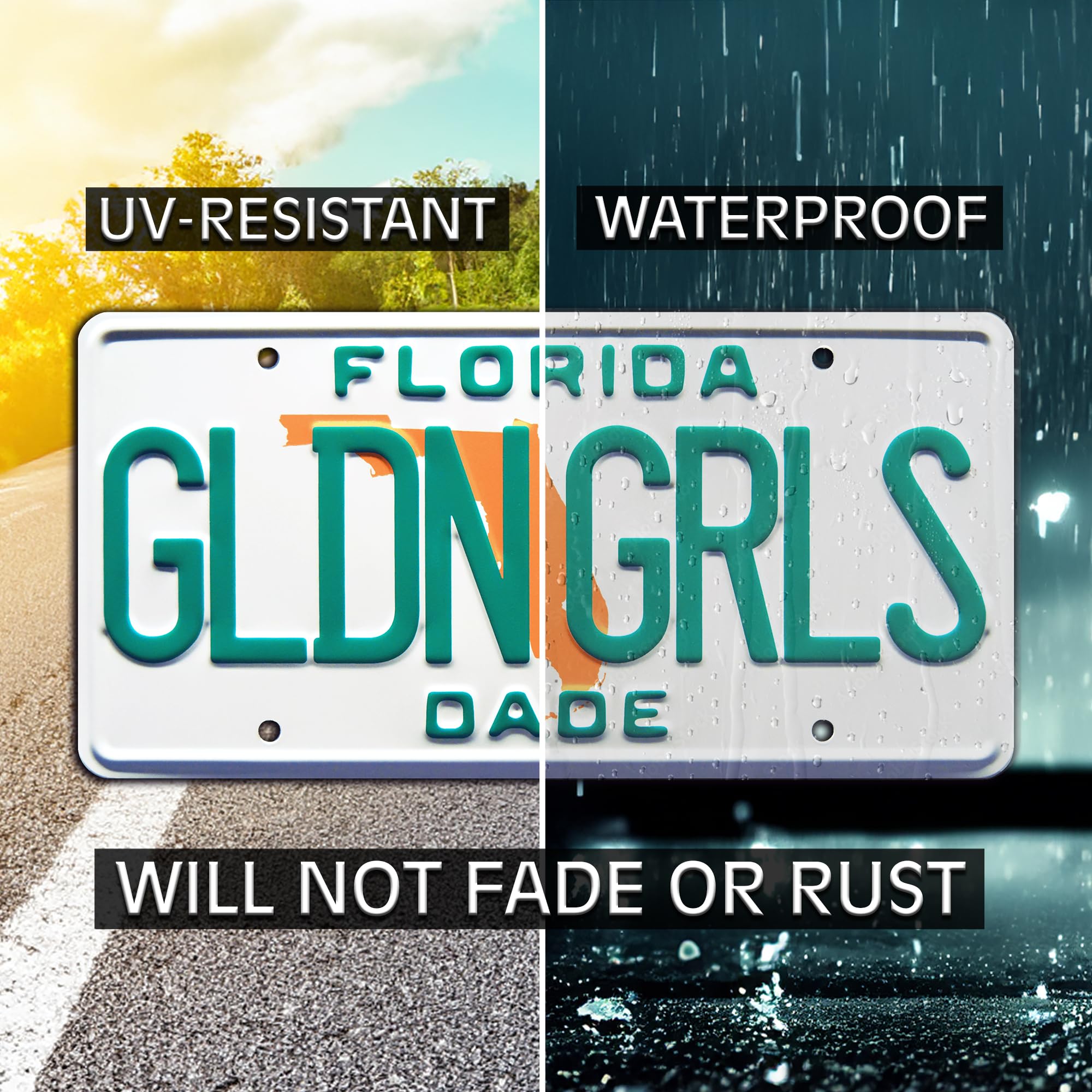 The Golden Girls | Florida | Metal Stamped License Plate