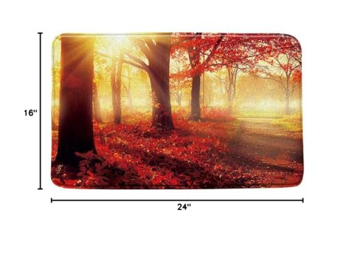 AMFD Fall Forest Bath Mat Autumn National Park Sunshine Misty Forest Tree Red Yellow Seasonal Picture Print Bathroom Shower Mat Kitchen Rug Soft Microfiber Memory Foam 16x24 Inches