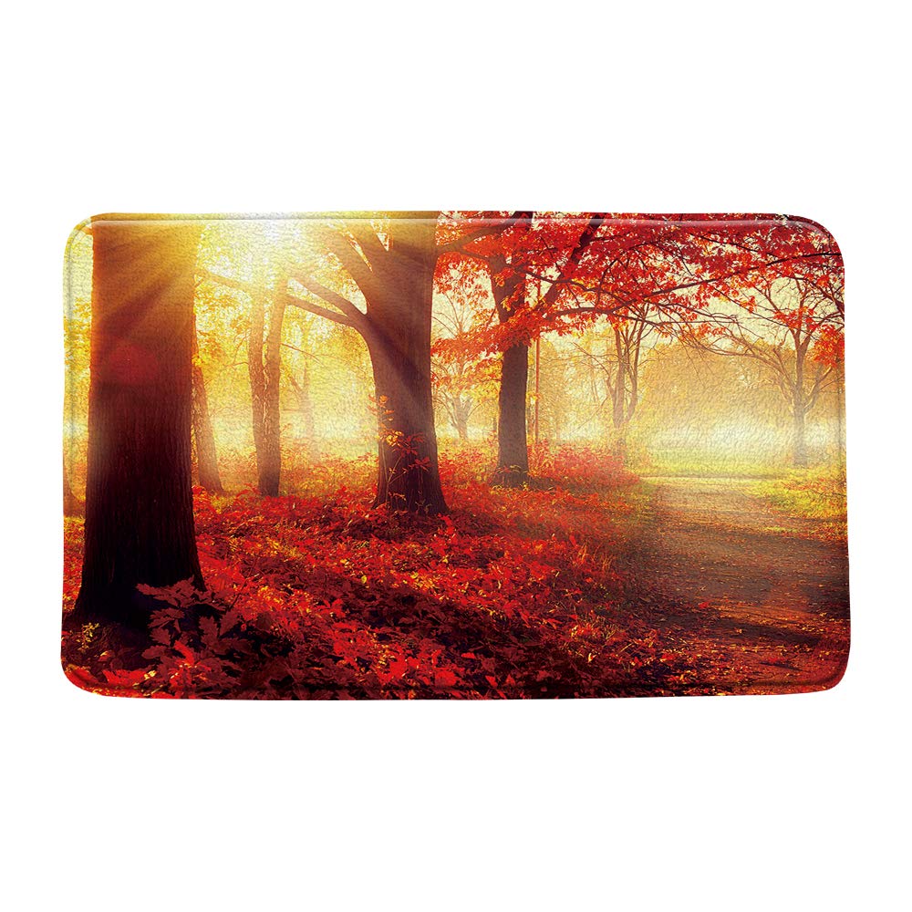 AMFD Fall Forest Bath Mat Autumn National Park Sunshine Misty Forest Tree Red Yellow Seasonal Picture Print Bathroom Shower Mat Kitchen Rug Soft Microfiber Memory Foam 16x24 Inches