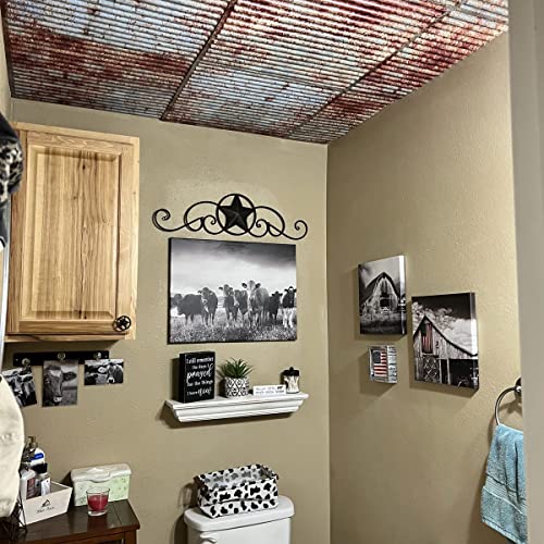 From Plain To Beautiful In Hours 261 Ridged Metal PVC 2' x 4' Lay-in Ceiling Tile (Covers / 8 sq.ft), Old Tin Roof, 1 Piece