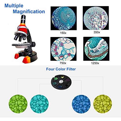 Microscope Kit for Kids 8-12,Ideal Science Experiment Toys for Boy Girl.Student Educational STEM Project,1250x Beginner Microscope,7X Magnifier Set to Child Activities.Gift Package for Age 8 9 10 11