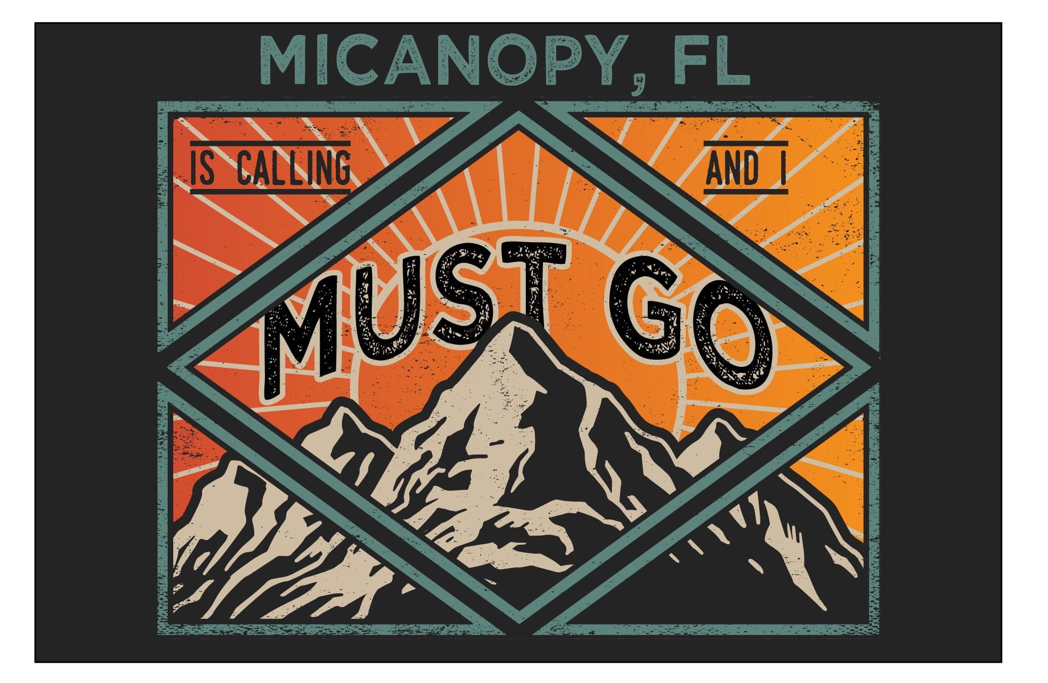 R and R Imports Micanopy Florida 9X6-Inch Souvenir Wood Sign With Frame Must Go Design