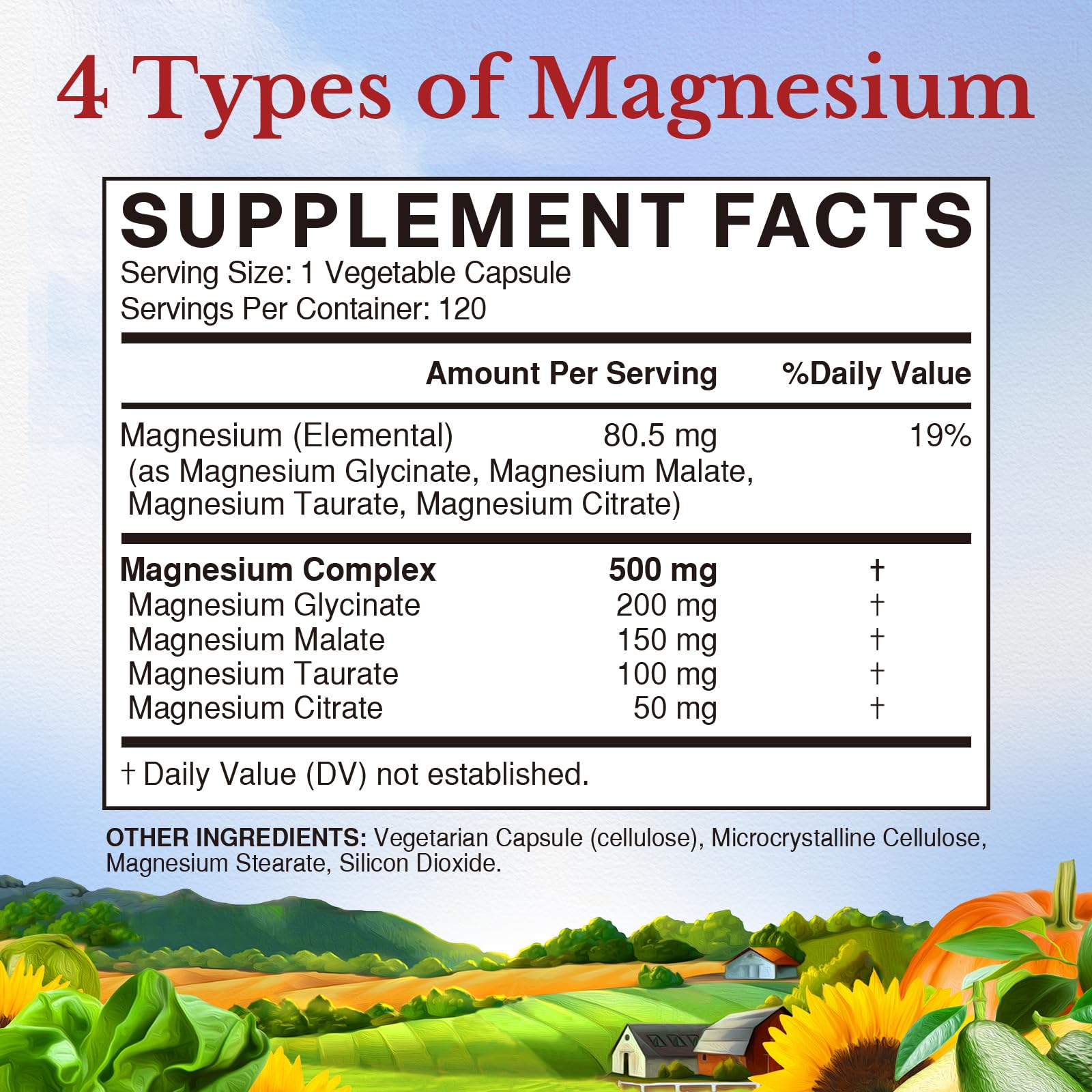 Vitalitown Magnesium Complex Supplement 500mg - Maximized Absorption Chelated Magnesium Glycinate, Malate, Taurate & Citrate - Vegan Non-GMO Magnesium 120 Capsules for Sleep, Muscle, Energy & Heart