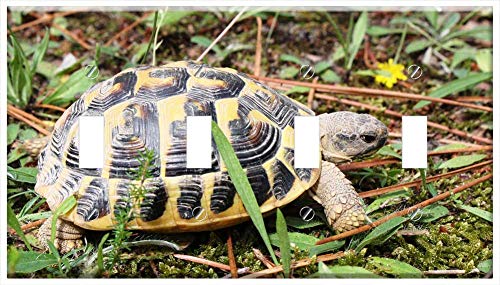 Switch Plate 4 Gang Toggle - Turtle Nature Carapace Little Turtle Animal