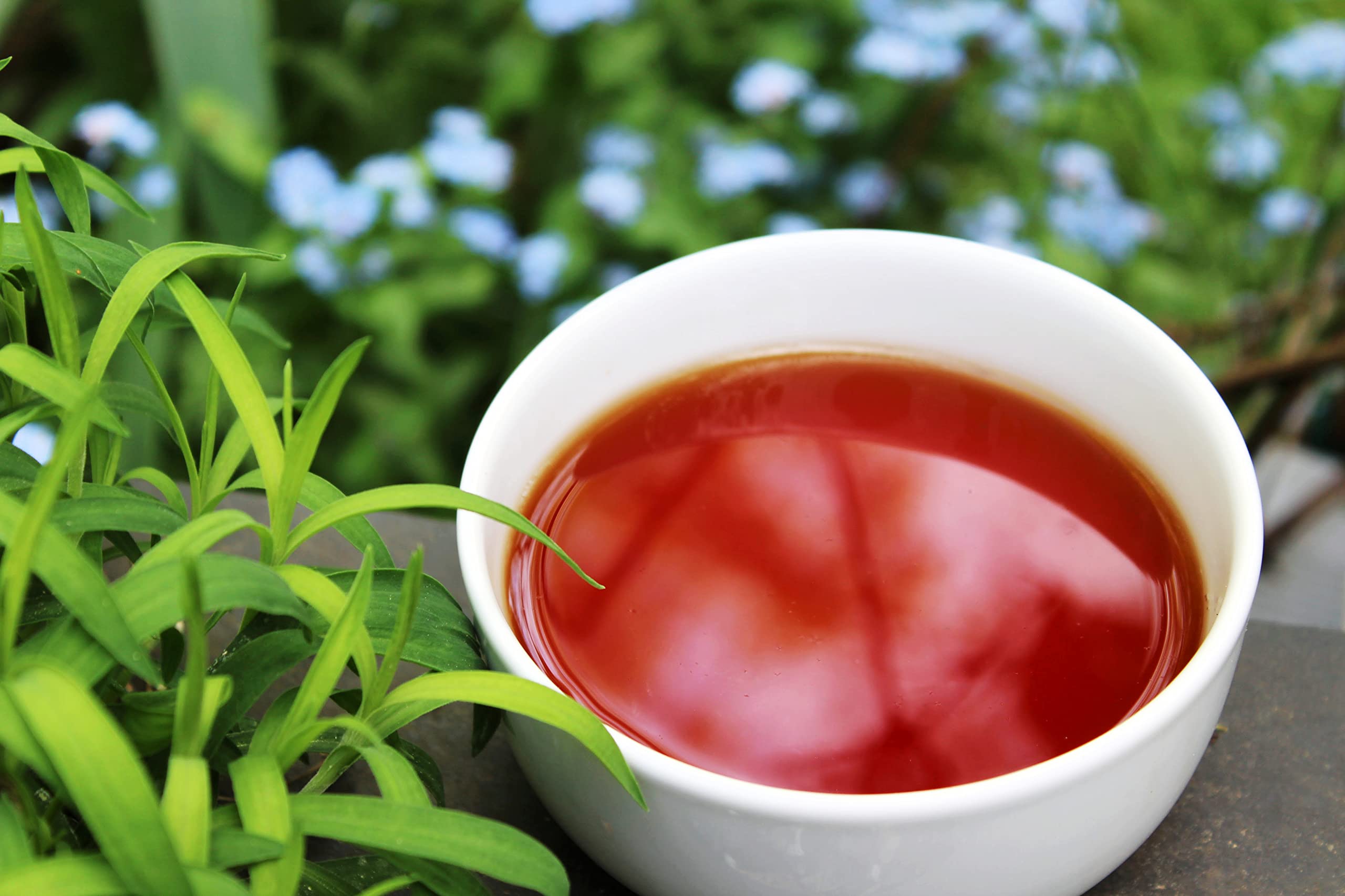 Ela's Tea Breakfast Blend 1837 | 1 Pound of Premium Loose Leaf Black Tea | Darjeeling and Assam Leaves | Hot or Cold Tea with Hints of Caramel and Floral Top Notes | 120 Cups Brewed (1 pound)